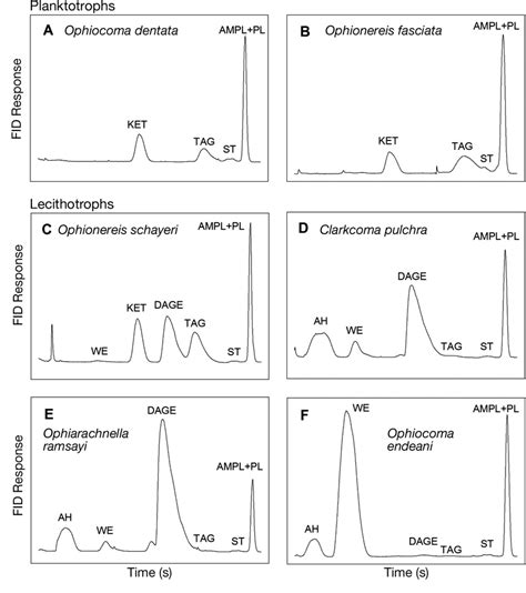 Representative Thin Layer Chromatography And Flame Ionization Detection Download Scientific