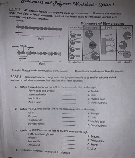 Solved Zonomers And Polymers Worksheet Option 7 Part 1