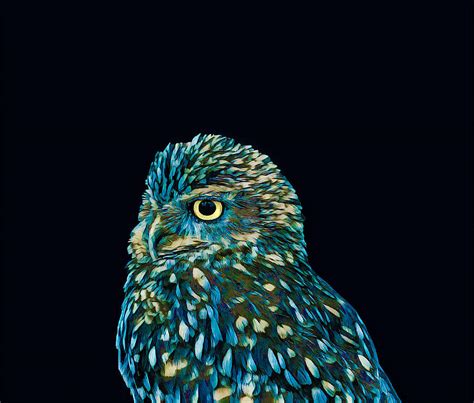 Cute Owl Digital Art By Kaleem Khokhar Fine Art America
