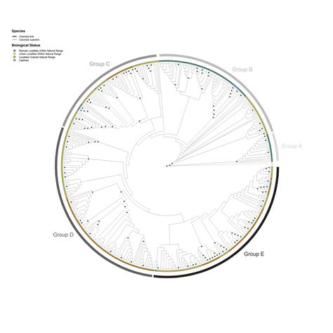 `geom tippoint` do nothing when na · issue 458 · yulab smu ggtree