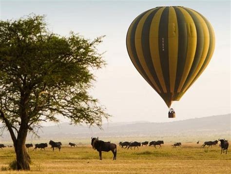 3 Days Serengeti Balloon Safari Serengeti Safaris Adventure Serengeti