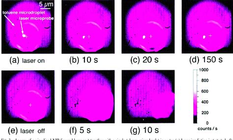 Figure 3 From Combined Near Infrared Raman Microprobe And Laser Trapping System Application To