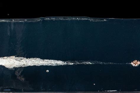 357 Sig Is The Semi Auto 357 Magnum Dead