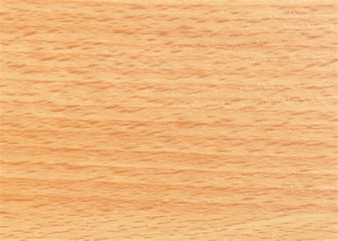 Red Beech Flooring Zone