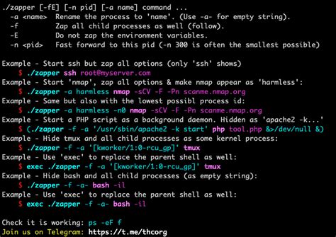 Github Hackerschoice Zapper Zaps Arguments And Environment From The Process List