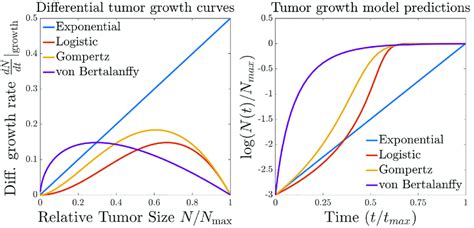 Tumor Growth Curves A Comparison Of Several Differential Growth Curves Download Scientific