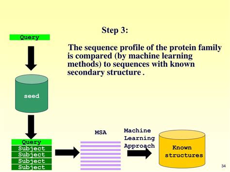 Ppt Proteins Secondary Structure Predictions Powerpoint Presentation
