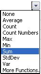 Working With The Total Row MS Excel Tutorial