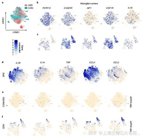 单细胞转录组学和表面表位检测 确定人脑癫痫病灶中促炎症的信号传递 知乎