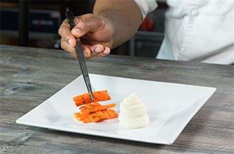 43 Plating Examples Workforce Libretexts