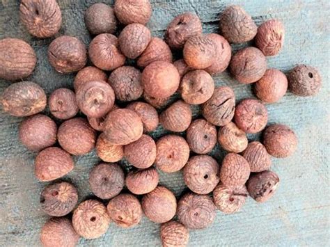 Red Dried Areca Nut At ₹ 400 Kg Arecanut Seeds In Chitradurga Id