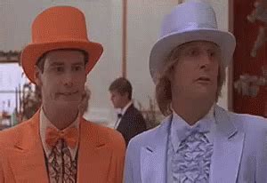 Dumb And Dumberer When Harry Met Lloyd 