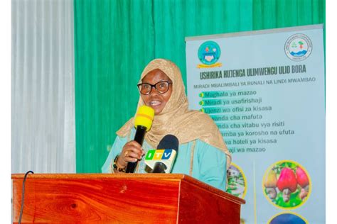 Lindi Rc Warns Farmers Against Premature Sesame Selling The Citizen