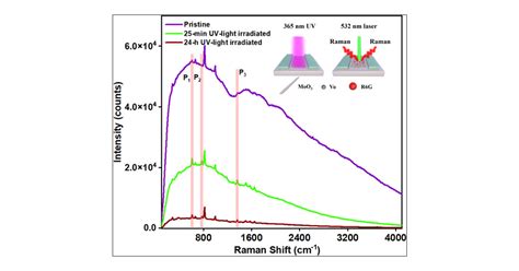 Insights Into The Semiconductor Sers Activity The Impact Of The Defect