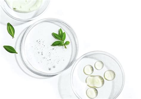 Cultured Meat Research Leaps Forward Food And Drink Business