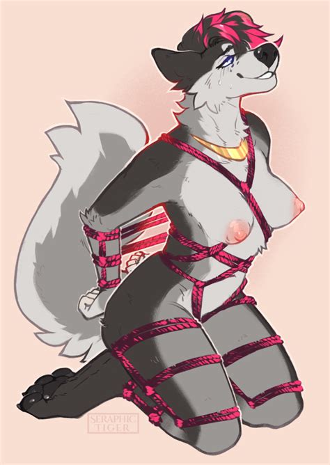 Rule 34 Anthro Arms Tied Black Hair Blue Eyes Bondage Bondage Bound