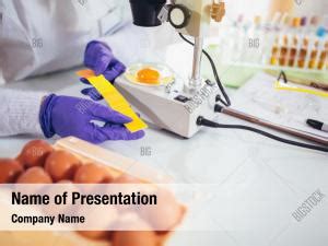 Quality Control PowerPoint Templates Quality Control PowerPoint