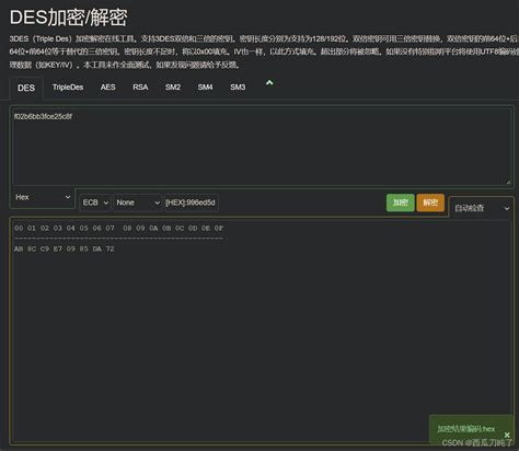 Des加密算法及演示程序（go 算法核心实现python 前端演示系统）captfencoder 怎么演示des Csdn博客