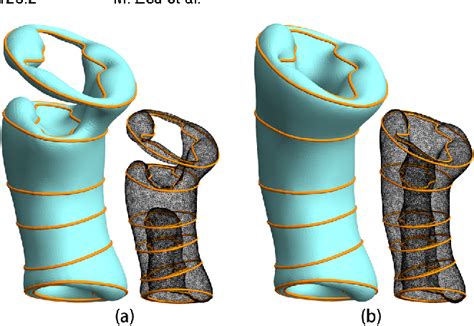Figure 2 From Topology Constrained Surface Reconstruction From Cross Sections Semantic Scholar