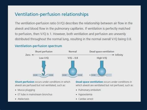 End Tidal Co2 And Transcutaneous Monitoring Pptx Lung And Respiratory Health Diseases And