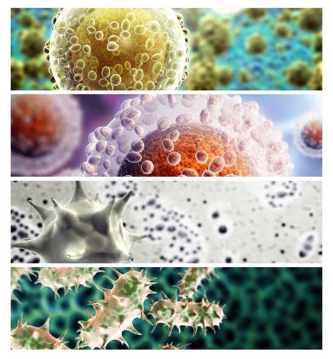 Collection Of Horizontal Or Vertical Banners With Pathogenic Bacterias