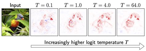 Convolutional Dynamic Alignment Networks CVPR 2021 Oral