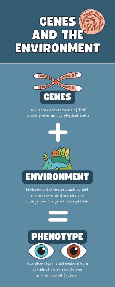 What Is Gene Environment Interaction A Beginners Guide Genetic Education