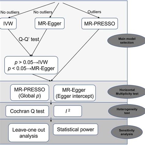Statistical Analysis Flowchart Revealing The Causal Relationship Download Scientific Diagram
