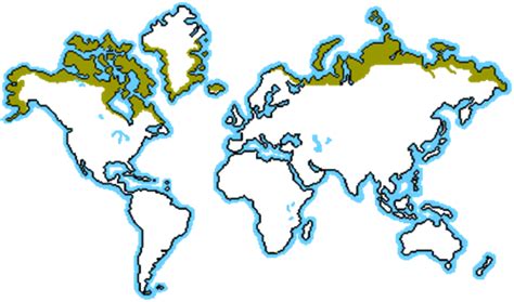 Envrionmental Science Ch 6 Flashcards Quizlet