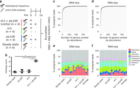 Microbial Community Composition Across Samples A Overview Of The Download Scientific Diagram