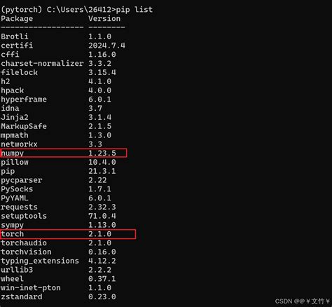 【pytorch】深度学习pytorch环境配置及安装【详细清晰】pytorch需要安装吗 Csdn博客