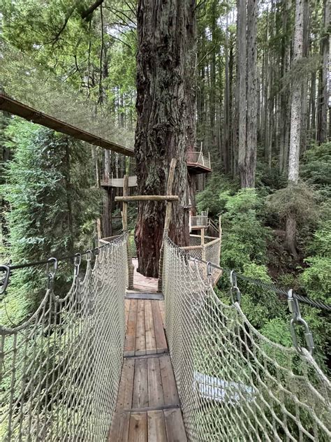 My Visit To Trees Of Mystery A Unique Redwoods Attraction My