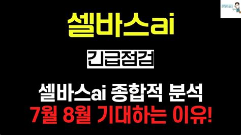셀바스ai 주가전망 78월을 기대하는 이유 셀바스ai 셀바스ai주가전망 셀바스ai유상증자 Youtube