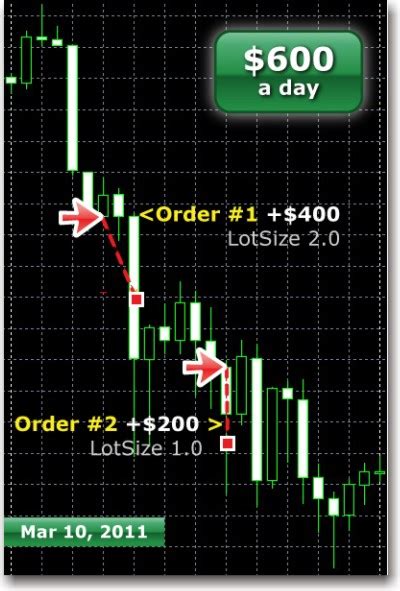 Forex Lady Robot Rita Lasker Review Scam Forex Robot Nation
