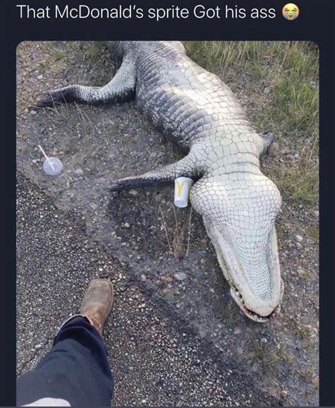 Too Spicy 🥵 Rmemes