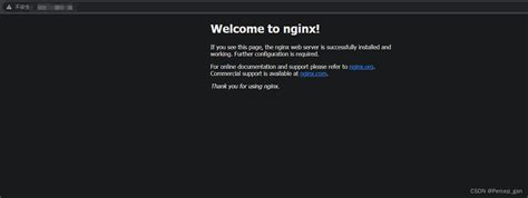 Linux中安装nginx，很详细linux安装nginx Csdn博客
