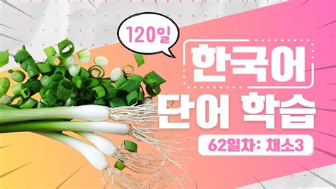 120일 한국어 단어 학습 62일차 채소 한국어 배우기 한국어 단어 Learn Korean Talk To Me In Korean Bilingual