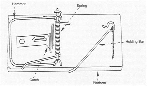Wiring Diagram Of Car Amplifier