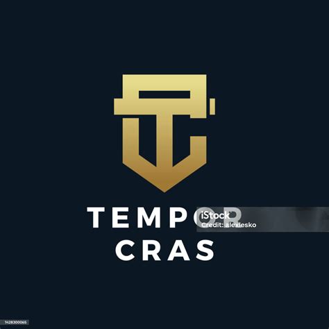 Tc 또는 Ct 두 글자 T와 C의 모노그램 가정 생활에 대한 스톡 벡터 아트 및 기타 이미지 가정 생활 건설 산업 건축하기 Istock