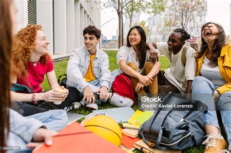 캠퍼스 공원에 앉아있는 다양한 급우 친구들과의 학생 우정 개념 대학생에 대한 스톡 사진 및 기타 이미지 대학생 십대 토론 Istock
