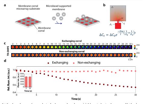 Figure 1 From Fabrication Of Multicomponent Spatially Segregated Dna And Protein Functionalized