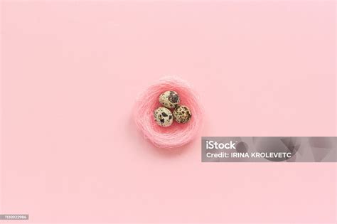 3 메 추 라 기 달걀 장식 핑크 둥지 분홍색 용지에 최소한의 스타일입니다 개념 행복 한 부활절 인사말 카드 상단 보기 복사 공간 템플릿 글자 텍스트 또는 디자인에 대 한