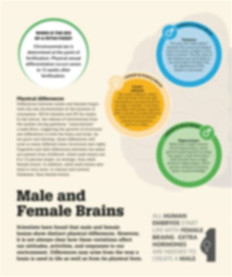 Solution Genetics And The Brain Male And Female Brain Nature And Nurture That Affect The