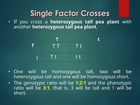 G8 Science Q4 Week 3 Patterns Of Inheritanceppt Genetics Science