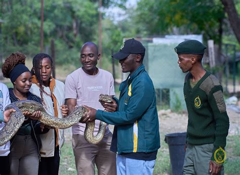 Zimbabwe Institute Of Wildlife Conservation Institute Website