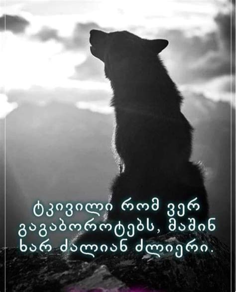 სახელმწიფო დროშის გვერძე სოდომის დროშა კიდია და თაყვანს სცემენ და მერე უკვირთ რისხვა უფლის რომ