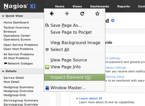 nagios xi using the custom includes component