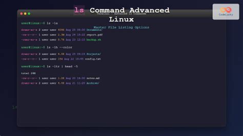 Ls Command In Linux Complete Guide To List Files And Directories With