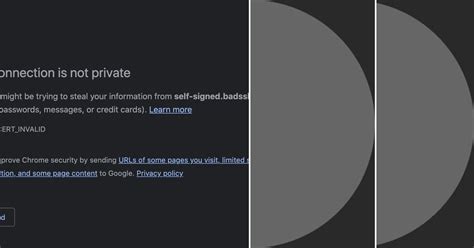 List Bypass Ssl Error Curated By Whithat Medium