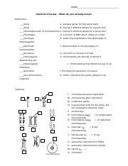 Genetics Preview Worksheet Docx NAME Genetics Preview What Do You Already Know Definitions